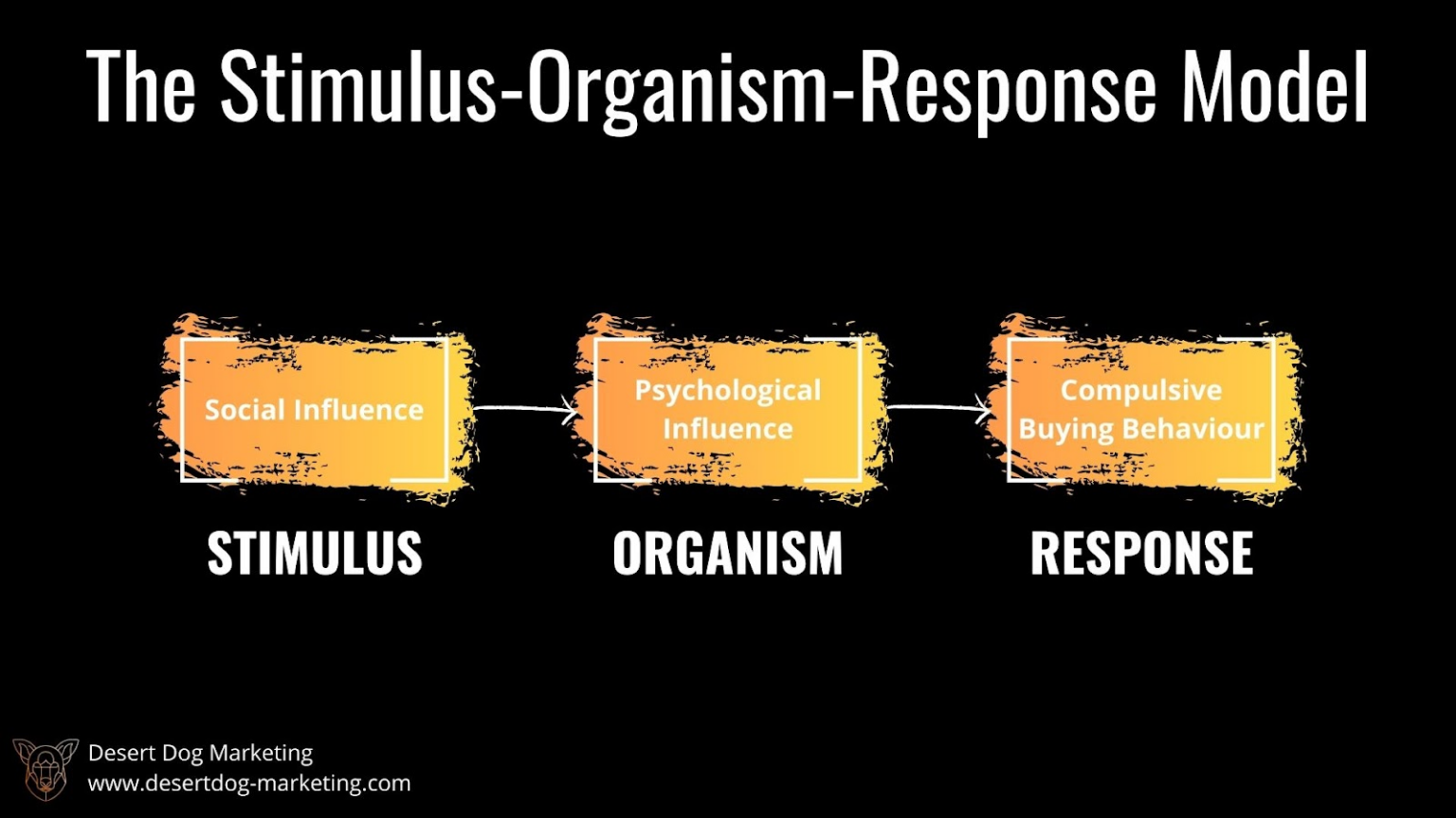 7 Consumer Behaviour Theories You Need to Know – Desert Dog
